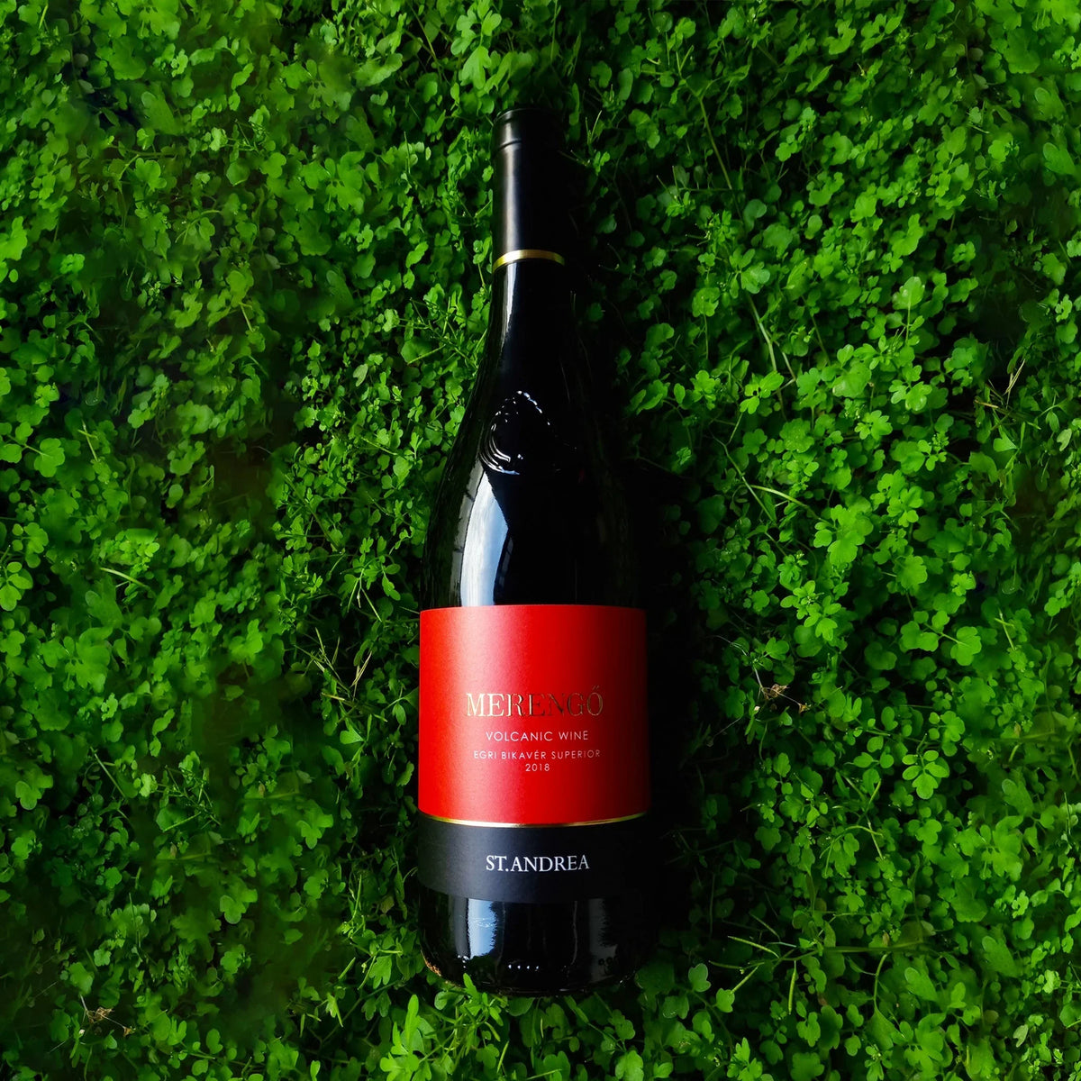 Hungarian Volcanic Wines– The Wine Key Singapore