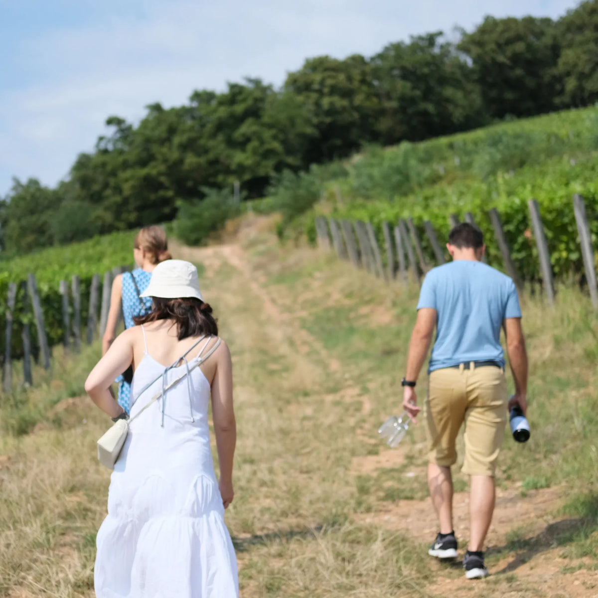 What are Volcanic Wines?– The Wine Key Singapore
